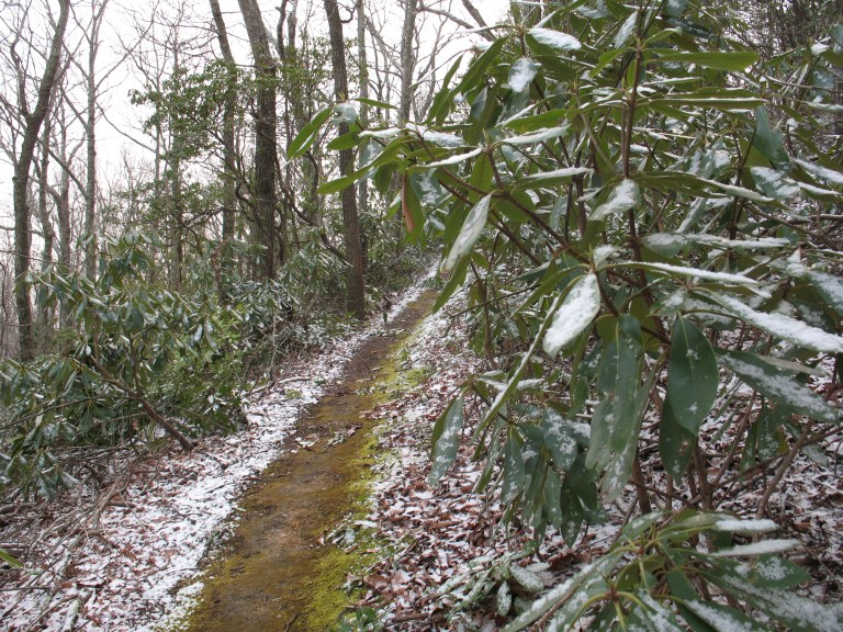 A World in Three Lines – Adrian Rice | V E R S E I M A G E